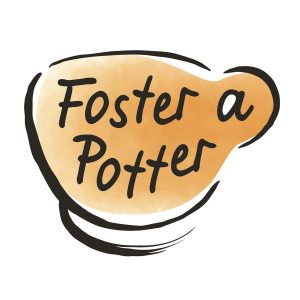 FOSTER A POTTER – Educating & connecting potters in Australia